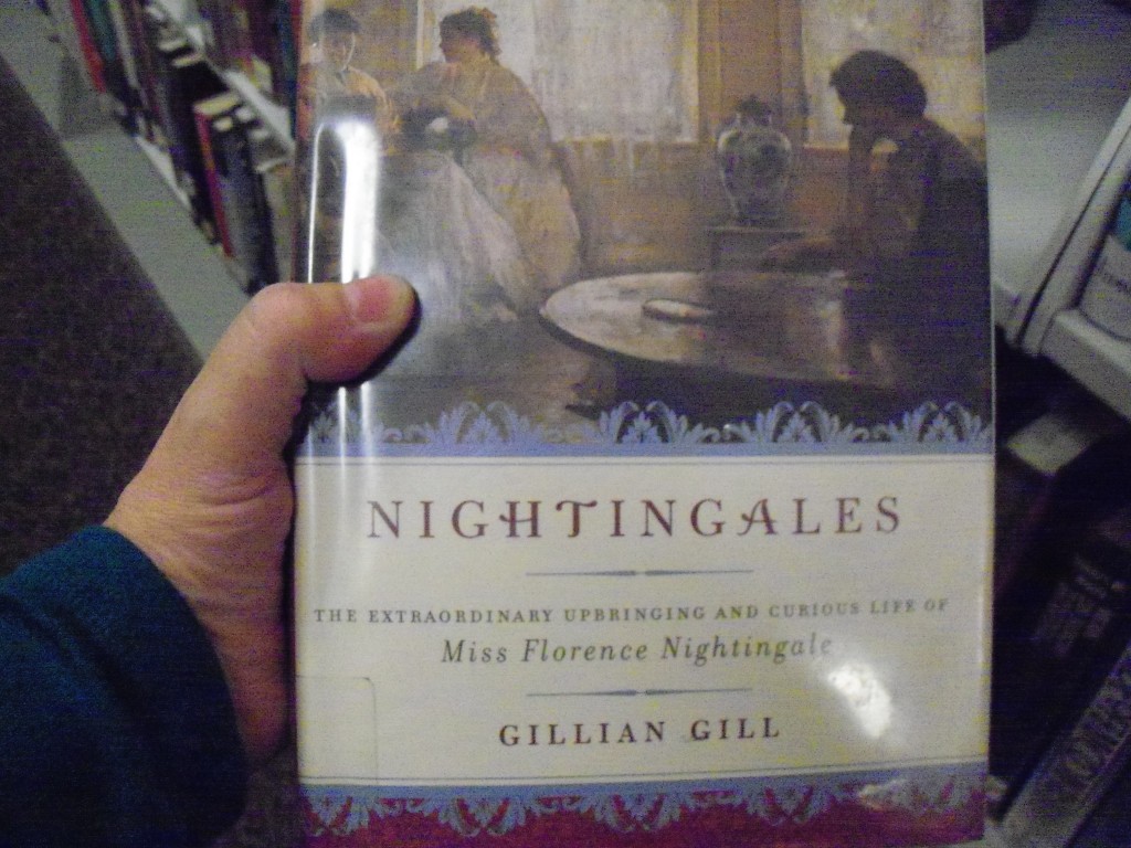 Safely ensconced at the library. | Rosemary Kirstein